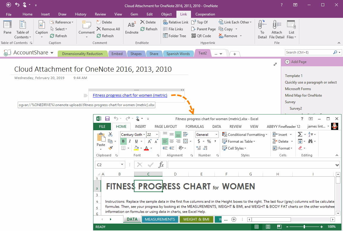 EXE How To Insert Attachment From OneNote 2016 2013 2010 