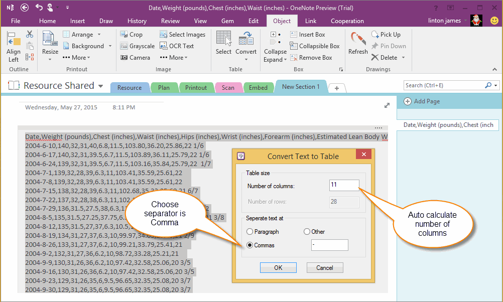 Convert Text To Table In OneNote Office OneNote Gem Add Ins