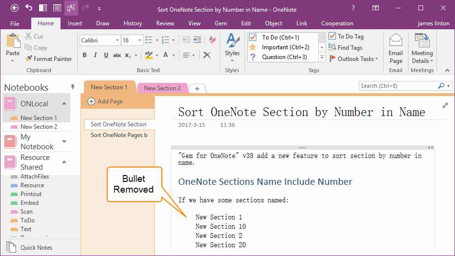 Remove All Bullets Point In Notes Of OneNote Notebooks Office OneNote