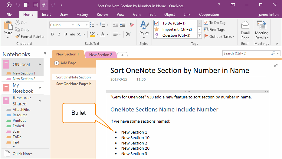 Remove All Bullets Point In Notes Of OneNote Notebooks Office OneNote 