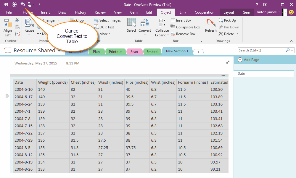 Convert Text To Table In OneNote Office OneNote Gem Add Ins